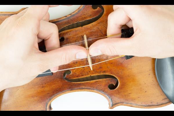 A step-by-step guide to keeping your bridge healthy | Focus | The Strad